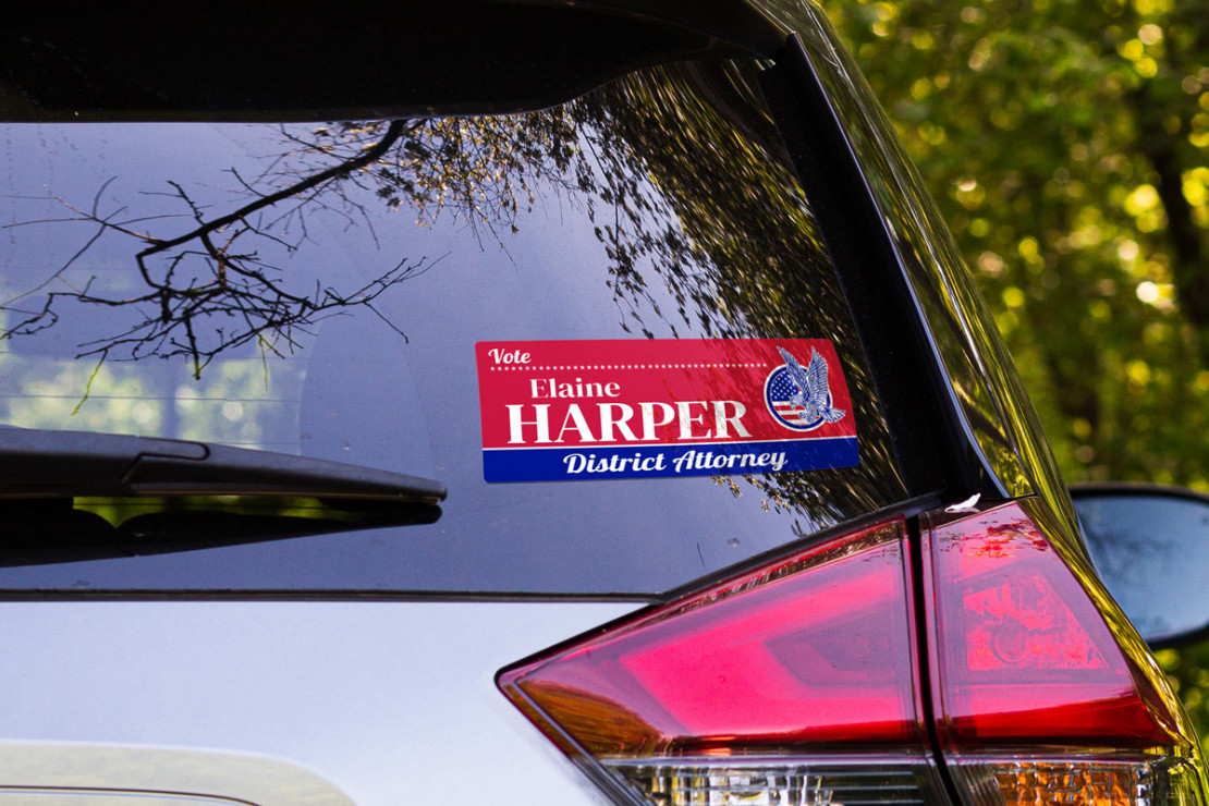 Large Political Campaign Yard Sign Package - Customizable