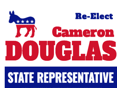 Cheap Custom Printed State Representative Election Campaign Yard Signs ...